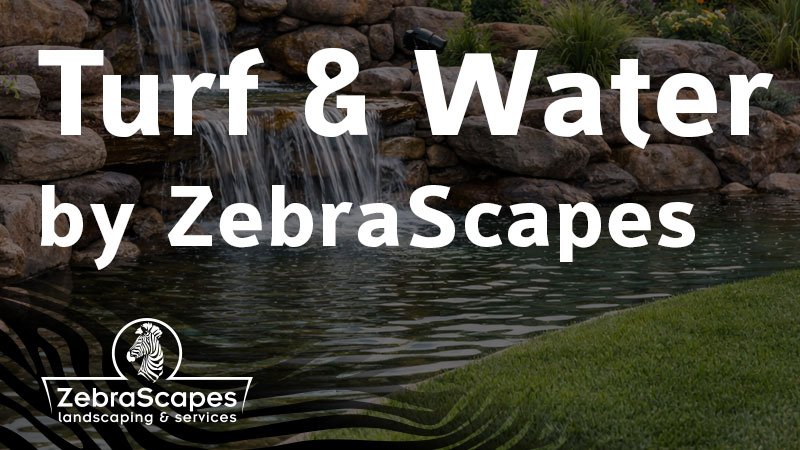 Artificial Turf & Water Features Installation | ZebraScapes Prescott